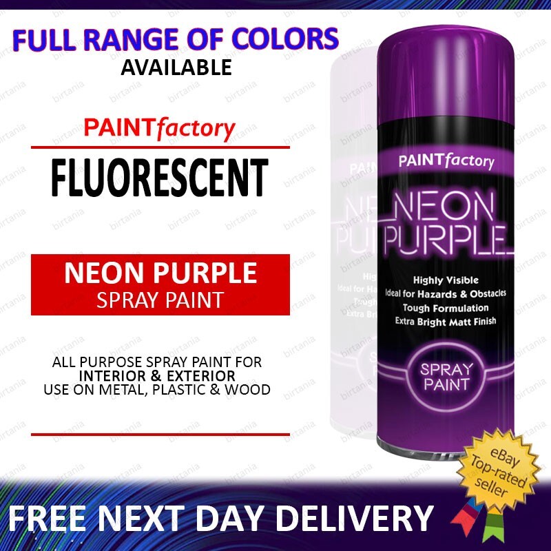 Neon Fluorescent Bright Spray Color Paint Aerosol DIY Matt Banksey 400 ...
