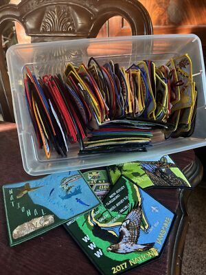 Boy Scout Patch, 1970-2017, Patches for Collecting / Trading, Selection ...