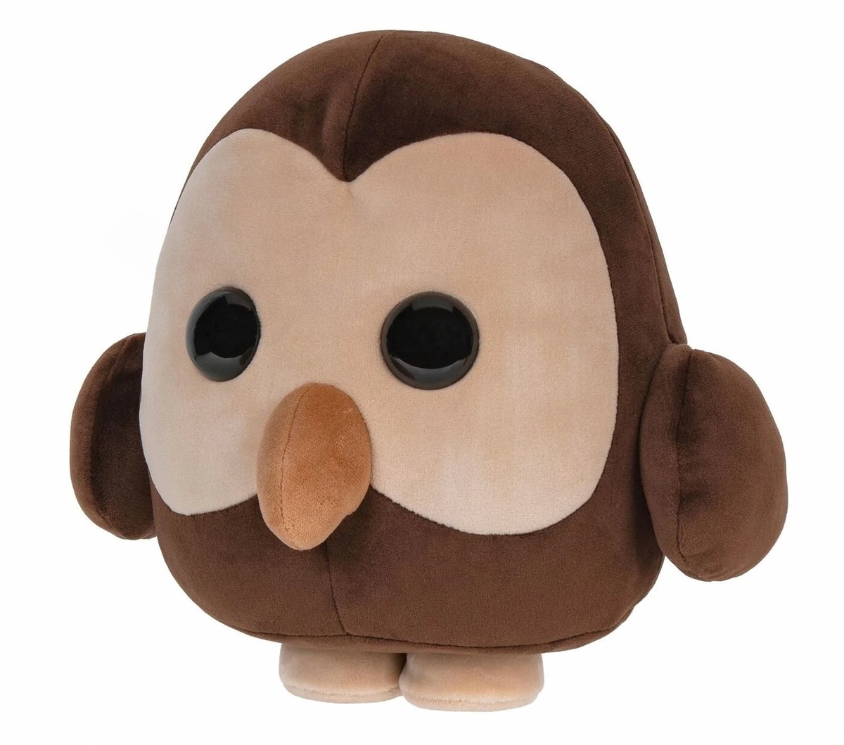 Owl Adoption Adopt Shadow The Western Screech Owl