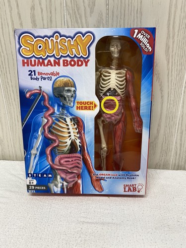 Smart Lab Squishy Human Body With 21 Removable Body Parts & Anatomy ...