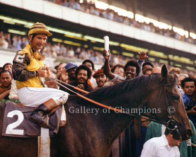 Forego 1976 Woodward Stakes Winner's Circle Photo 8" x 10 - 24" x 30 ...