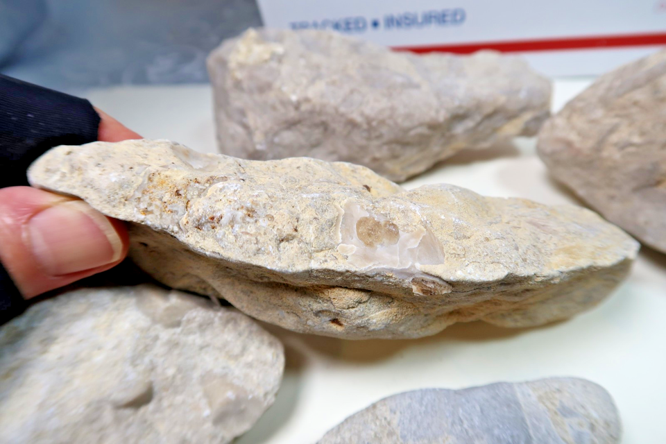 Lot /Collection #4 - FOSSILS ROCKS+ from Sandy Creek, Ohio - 10 ...