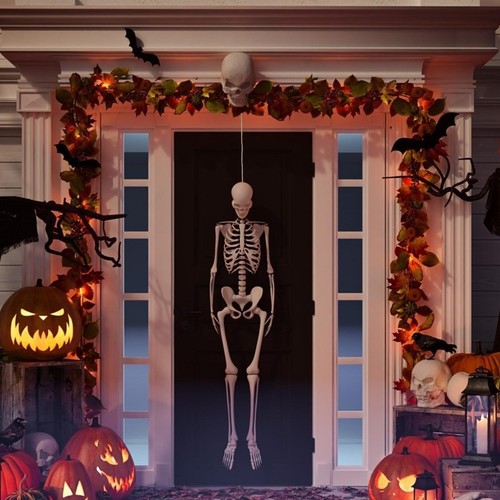 165cm Halloween Skeleton Decor Adjustable Joints for Halloween Prank | eBay