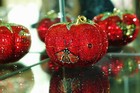 Judith Leiber TOMATO Swarovski Crystal Minaudiere Purse Museum BEE ...