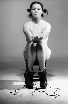 Scarce Iconic Large Photo Of Icelandic Singer Bjork Good Condition ...