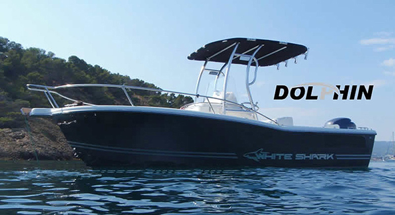 Dolphin Pro2 T-TOP/ Center Console Boat T TOP Customized Looking Heavy ...