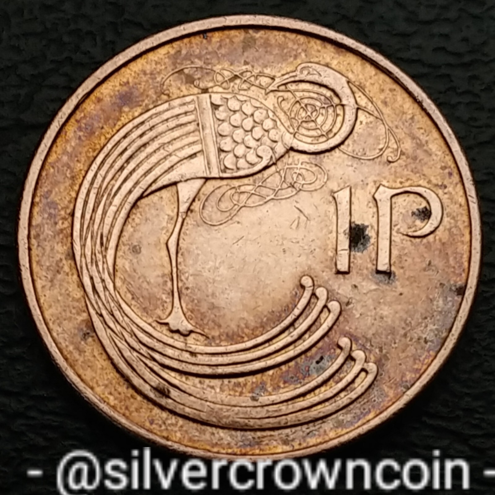 Ireland 🇮🇪 Eire 1 Penny 2000. KM#20a. One Cent coin. Irish Harp. Bird ...
