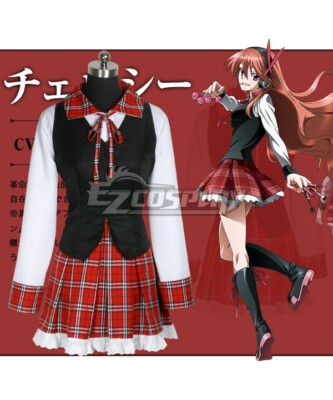 Akame ga Kill! Night Raid Chelsea Outfit Dress Cosplay Costume E001 | eBay
