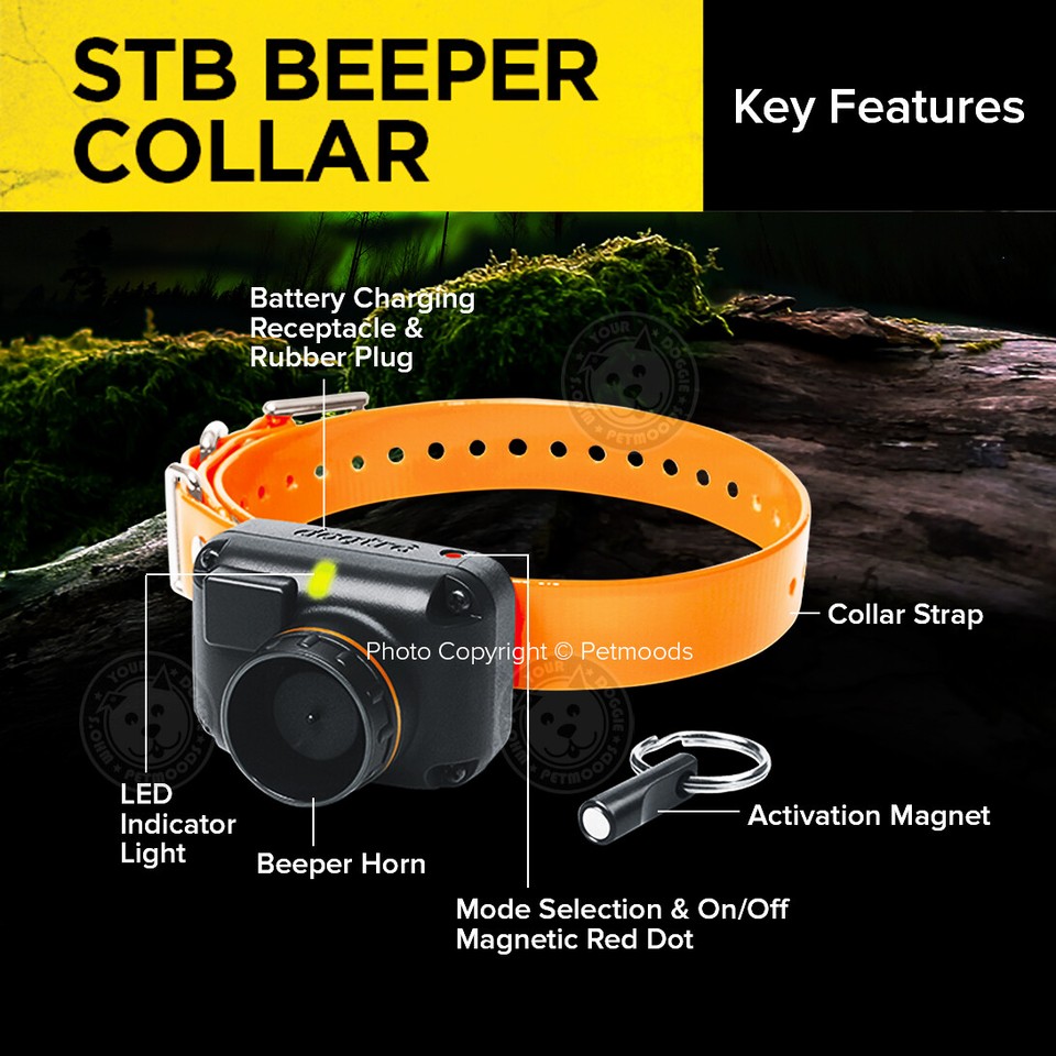 Dogtra STB Beeper Extra Collar HAWK Sound Version for Upland Hunting ...