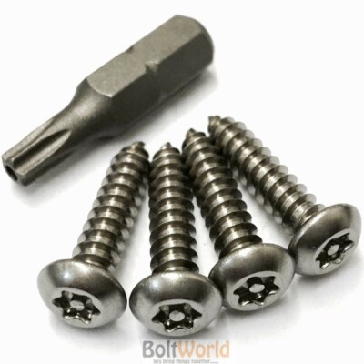 5 PCE STAINLESS STEEL NUMBER PLATE SECURITY SCREWS KIT - 4 SCREWS & 1 ...