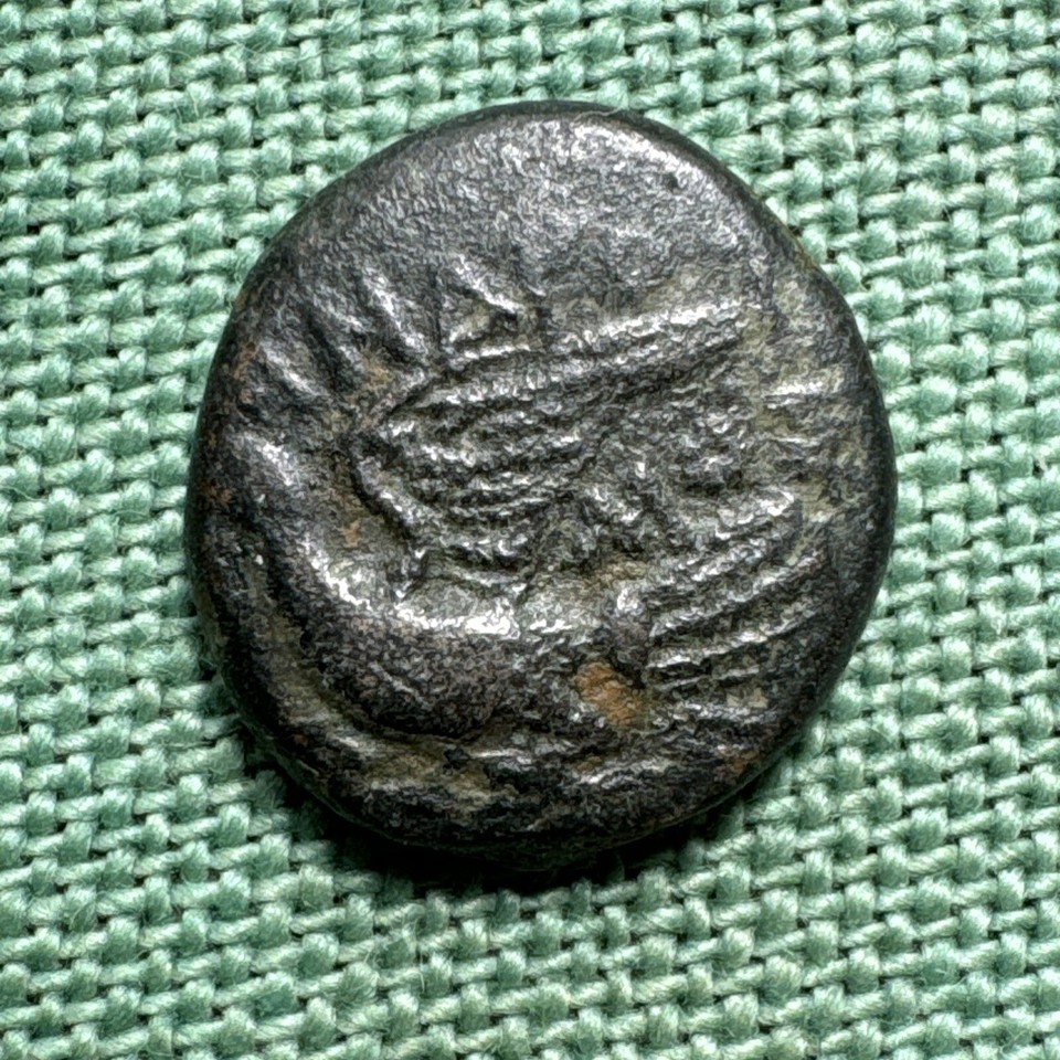 Sikyonia Sikyon (500-146B.C.) Bronze Ancient Greece Coin DOVE | eBay