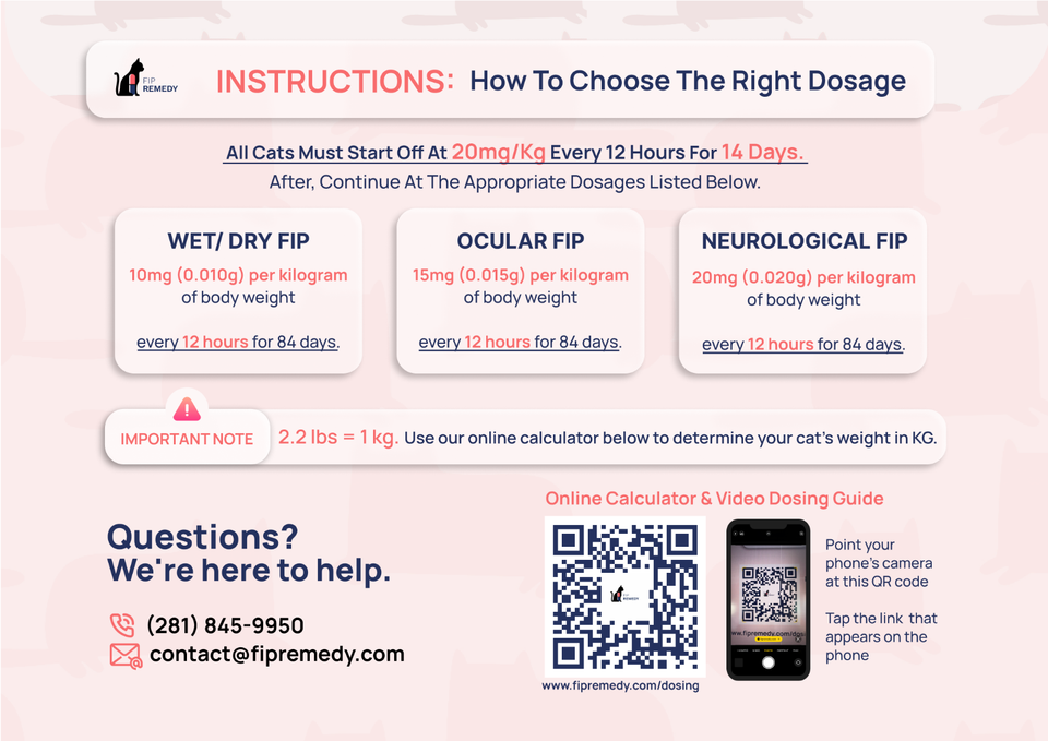 Feline Infectious Peritonitis (FIP) Full 84-Day Treatment Kit - Cats ...