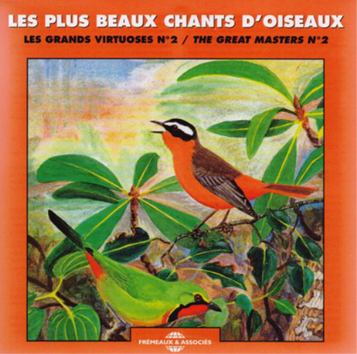 Birdsong Les Plus Beaux Chants D'oiseau (CD) Album | eBay