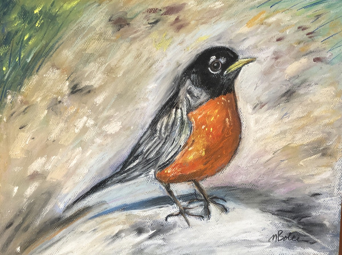 Old Bird Drawing