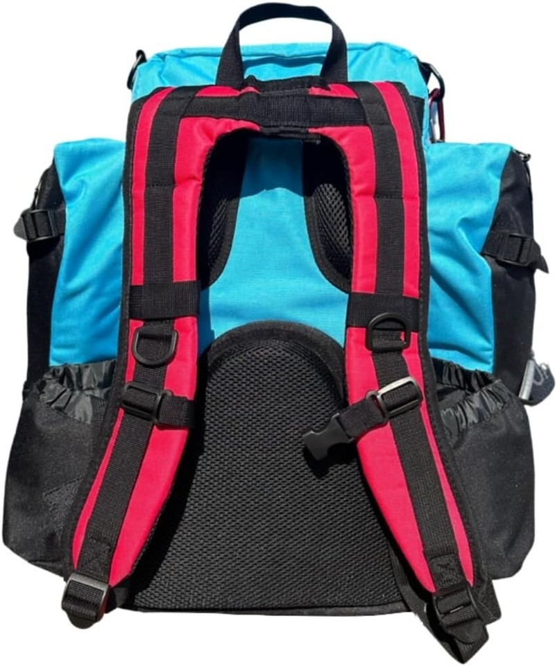 Discology OG V2 Disc Golf Bag Vice Colorway (Brand New) | eBay