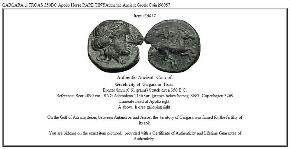 GARGARA in TROAS 350BC Apollo Horse RARE TINYAuthentic Ancient Greek ...