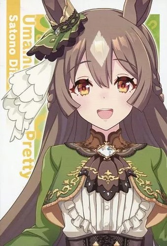 Satono Diamond Uma Musume Pretty Derby Profile Card Animate Fair Bonus ...