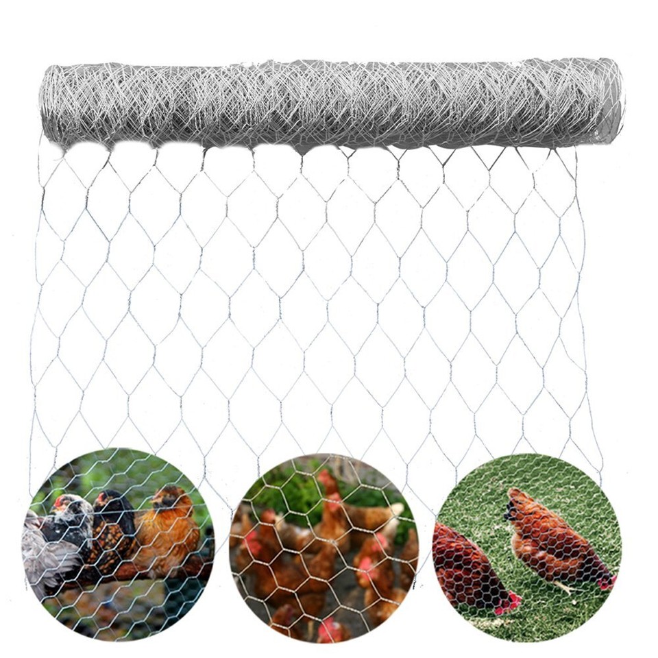 Galvanized Poultry Net - Metal Mesh Fencing / Chicken Wire 2" Holes ...