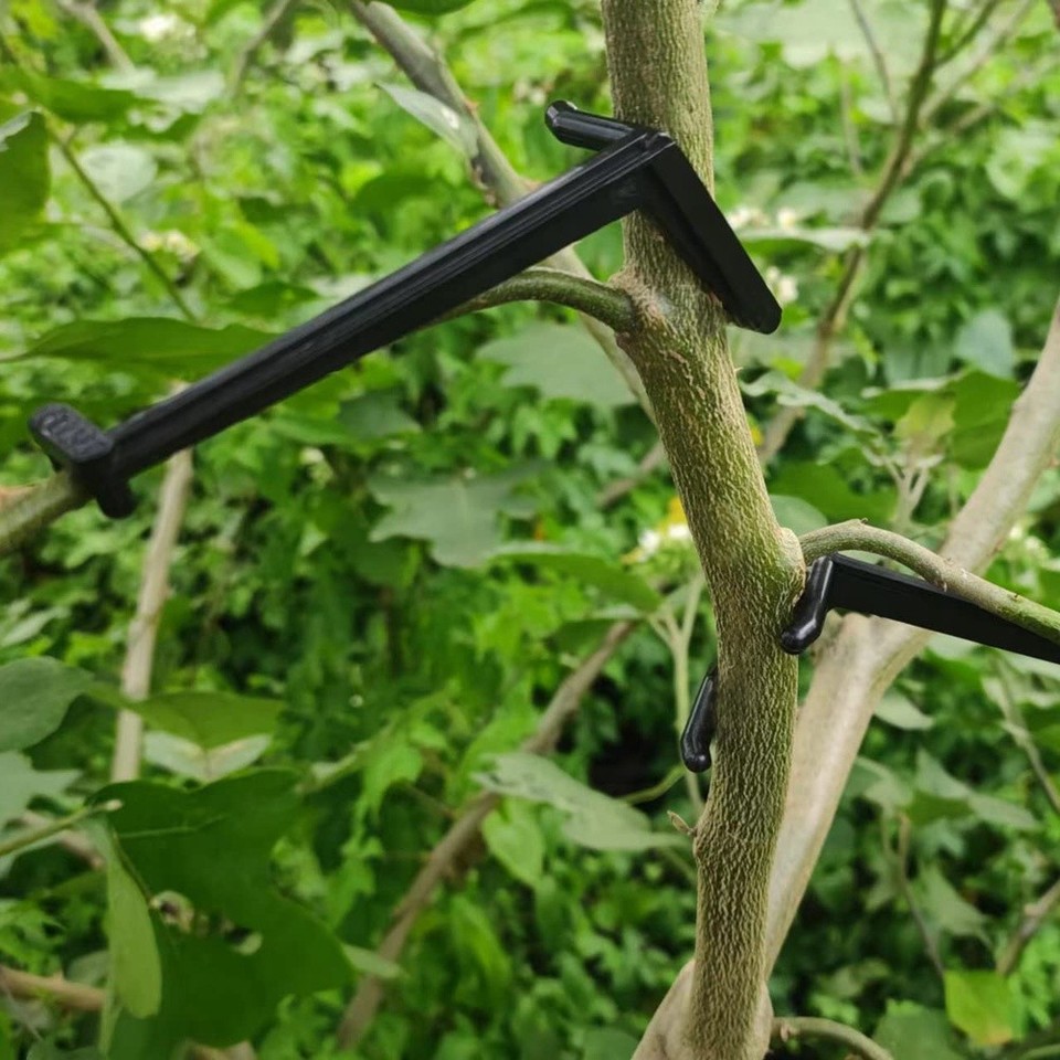 Branch Spreaders Plant Stem Traine Fruit Tree Branch Puller Tying ...