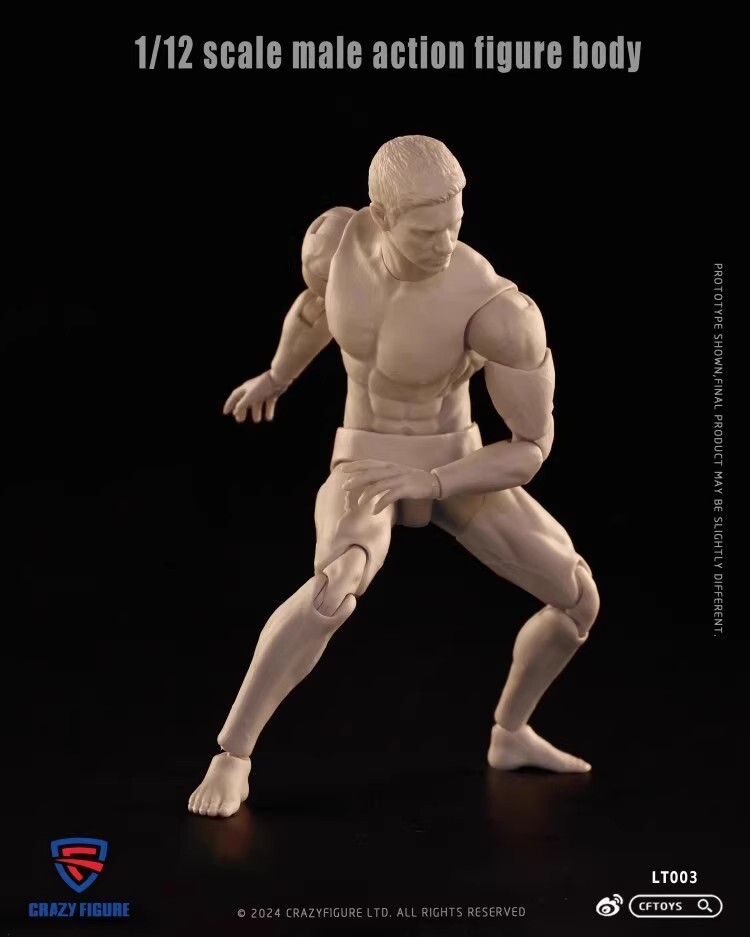 CRAZY FIGURE LT003 LT004 1/12 Scale Female Male Figure Body Head Model ...
