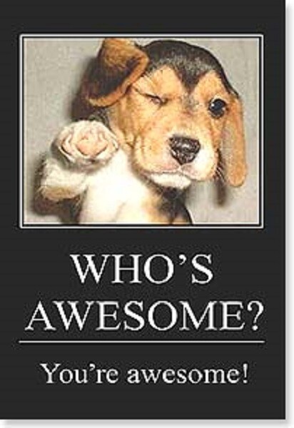 Whos Awesome Youre Awesome Meme