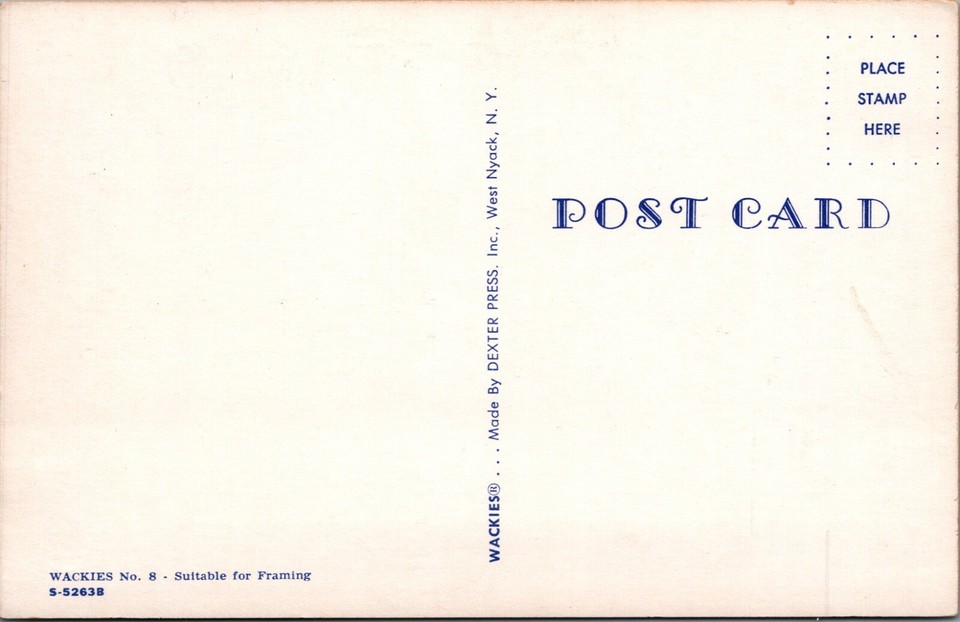 Cant You Even Spell Right Cartoon Wackies No 8 Chrome Vintage Postcard ...