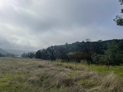undivided 1 percent interest in 168 acres Tuolomne County CA California ...