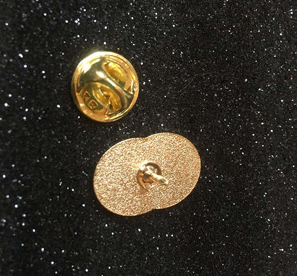 Pin TWA TRANS WORLD AIRLINES logo Pin gold back size: 20mm wide / 0 ...