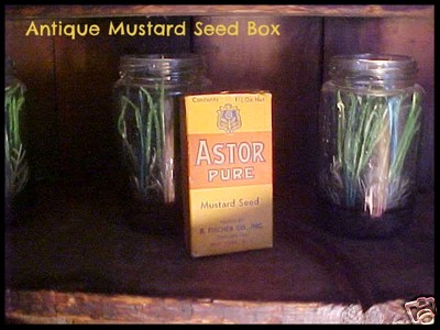 Antique Vintage Advertising Spice Box Astor Pure Mustard Seed with ...