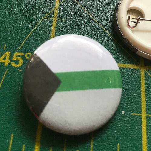 Demiromantic Sexuality Pride 25mm Pin Badge LGBTQIA+ | eBay