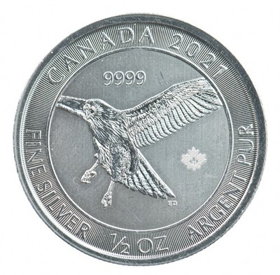 2021 Canada 2 Dollars - 1/2 Oz Red-Tailed Hawk World Coin- Silver *097 ...