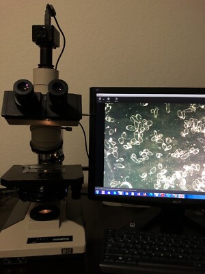 Microscopes - Microscope Made In Japan