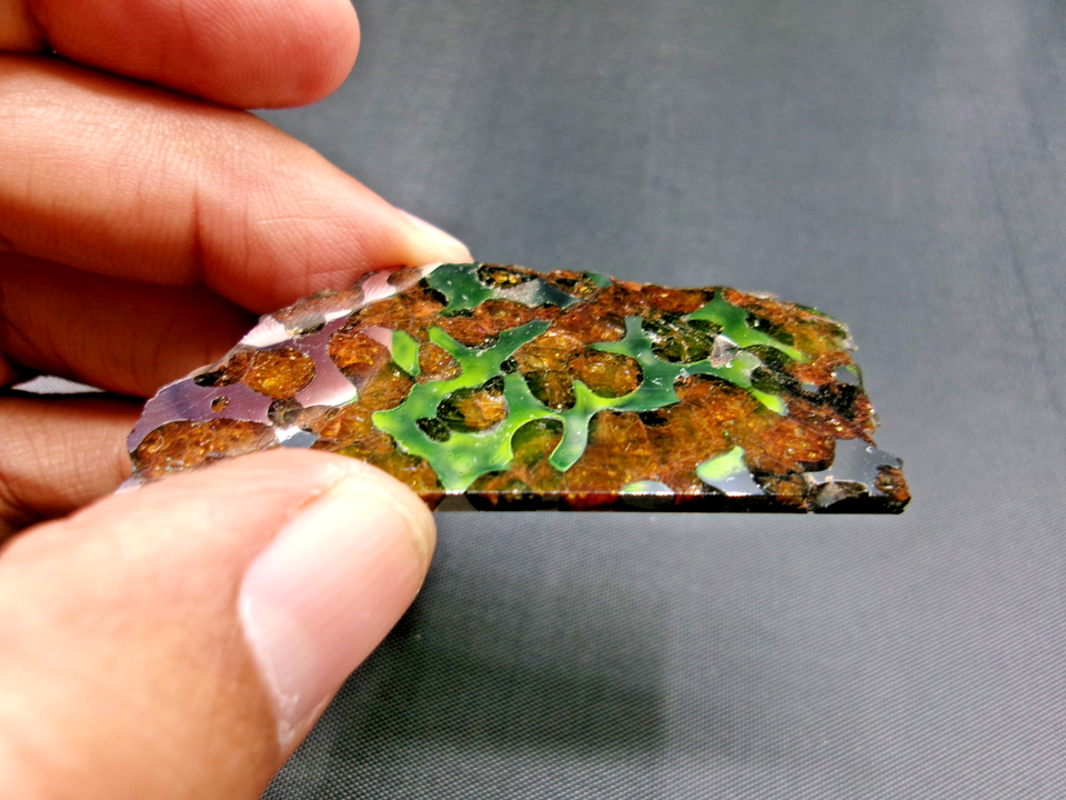 TRANSLUCENT - 13.98 gram - BORZYA PALLASITE METEORITE slice - found in ...
