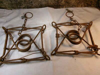 Lot of 2 Vintage 220 Conibear Body Grip Animal Traps Raccoon Otter Wood ...