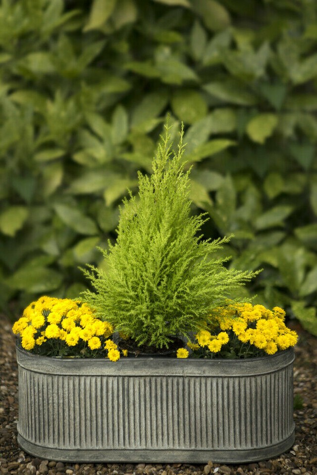 Galvanised Zinc Ribbed Metal 44cm Pot Planter | Garden Flower Plant ...