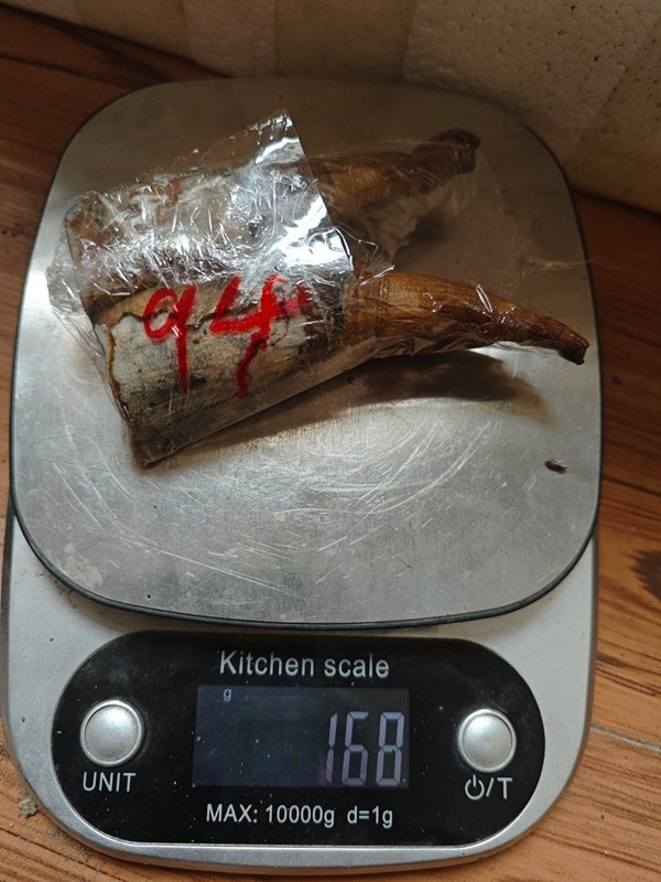 Exquisite Tooth Fossils from the Ice Age - Ancient Fossil Specimen | eBay