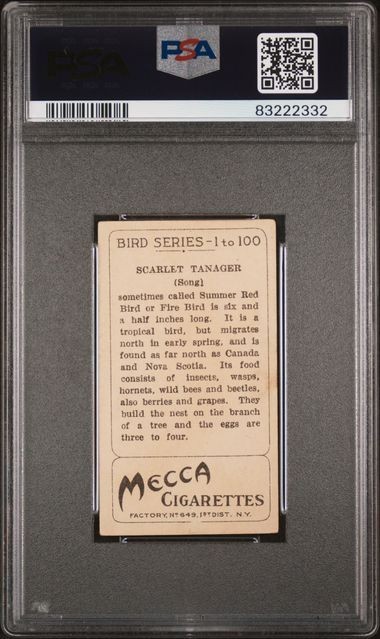 SCARLET TANGER 1910 T42 Bird Series-Type 1 (WHITE BORDER)-MECCA PSA 4 ...
