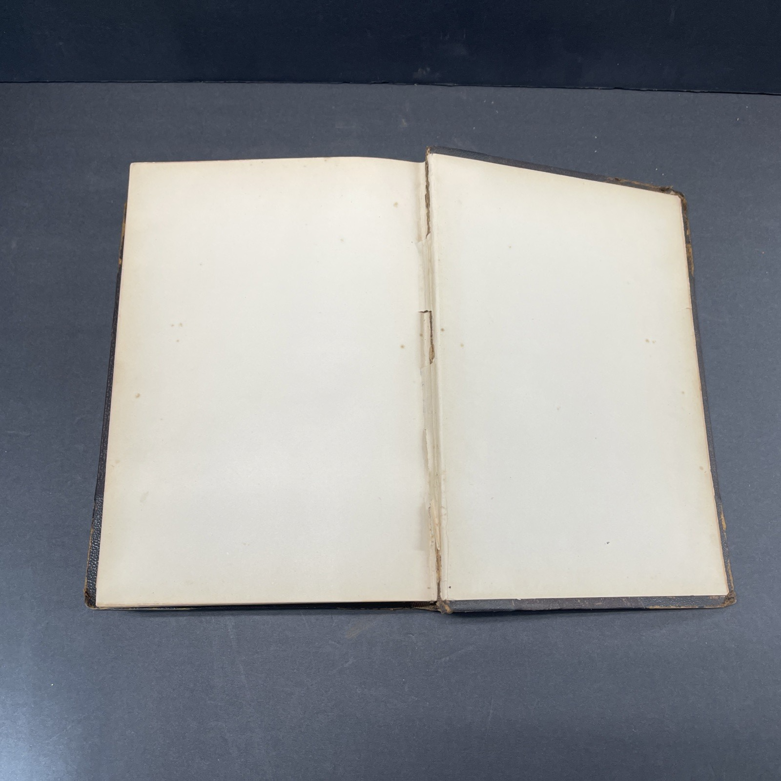 Around The World with General Grant - 1879 1st Edition by Young ...