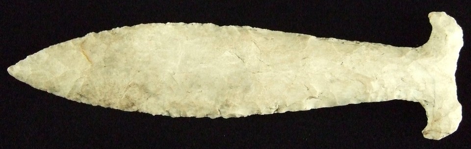 Exceptionally Fine 5 5/8 inch Florida Mustache Simpson Point with COA ...