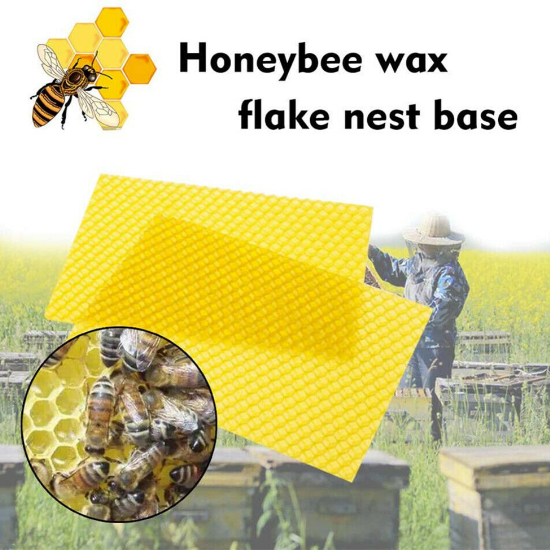 NEW 30Pcs Honeycomb Foundation Bee Hive Wax Frames Waxing Beekeeping ...