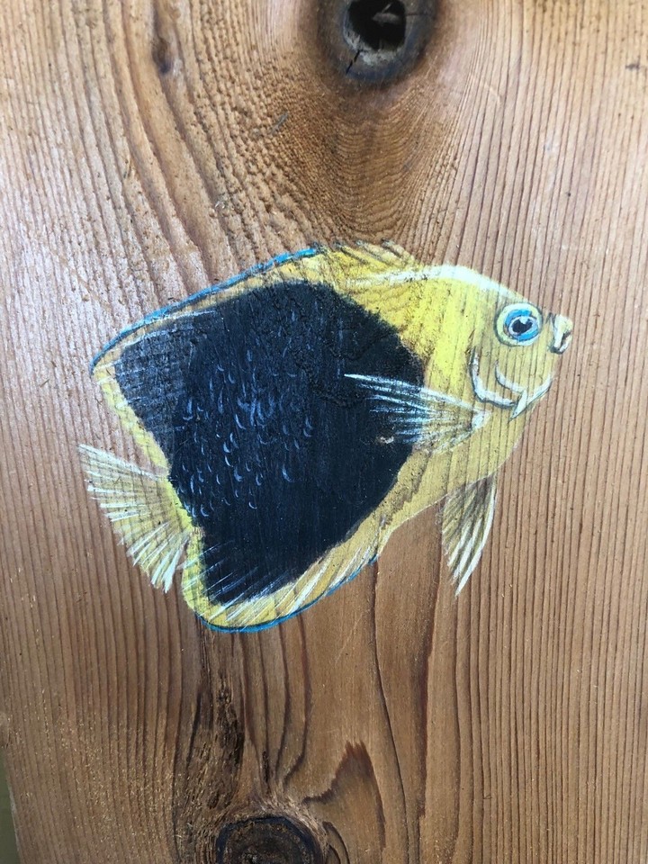 Christi Mathews "3 Rock Beauties" #313 Acrylic on Cedar Shingle 15x5 ...
