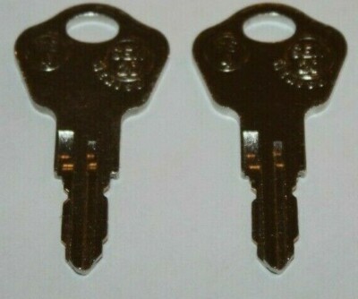 set of 2 replacement keys cut to your Sentry Safe key code SB0-SB9 All ...