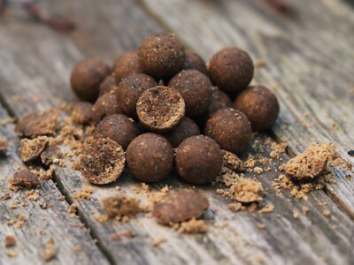 5kg Boilies Carp Fishing Bait Mix & Match Various Flavours Sizes | eBay UK