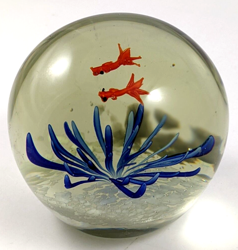 Glass Sea Fish Fish Ongley Snook Designs