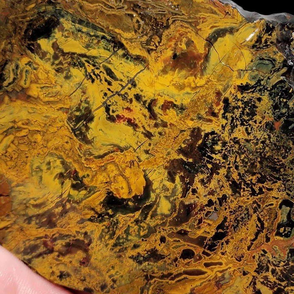 Jurassic Jasper Kaleidoscope Jasper Slab! Lapidary Stone Slab! | eBay