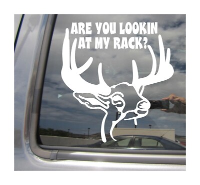 Are You Lookin At My Rack? - Funny Deer Hunter Hunting Vinyl Decal ...