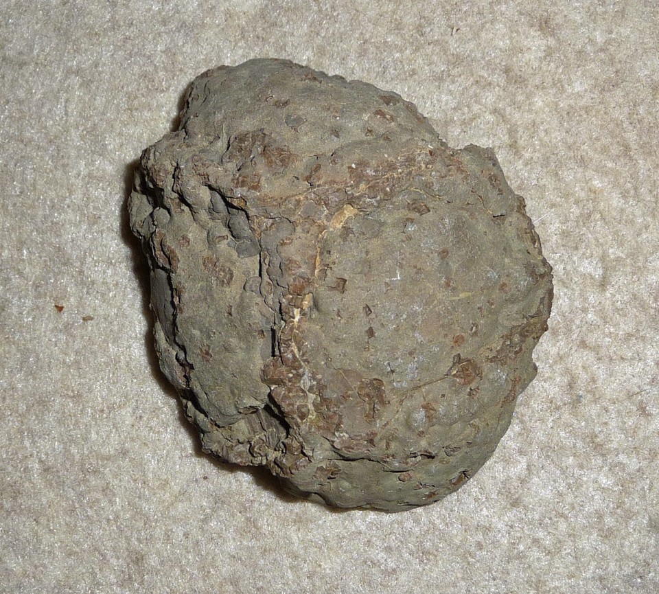 Large Polished Richardson Ranch Oregon geode Thunder Egg with water ...