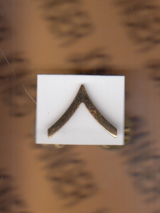 US Army Enlisted E-2 PRIVATE PVT rank uniform badge single clutchback c ...