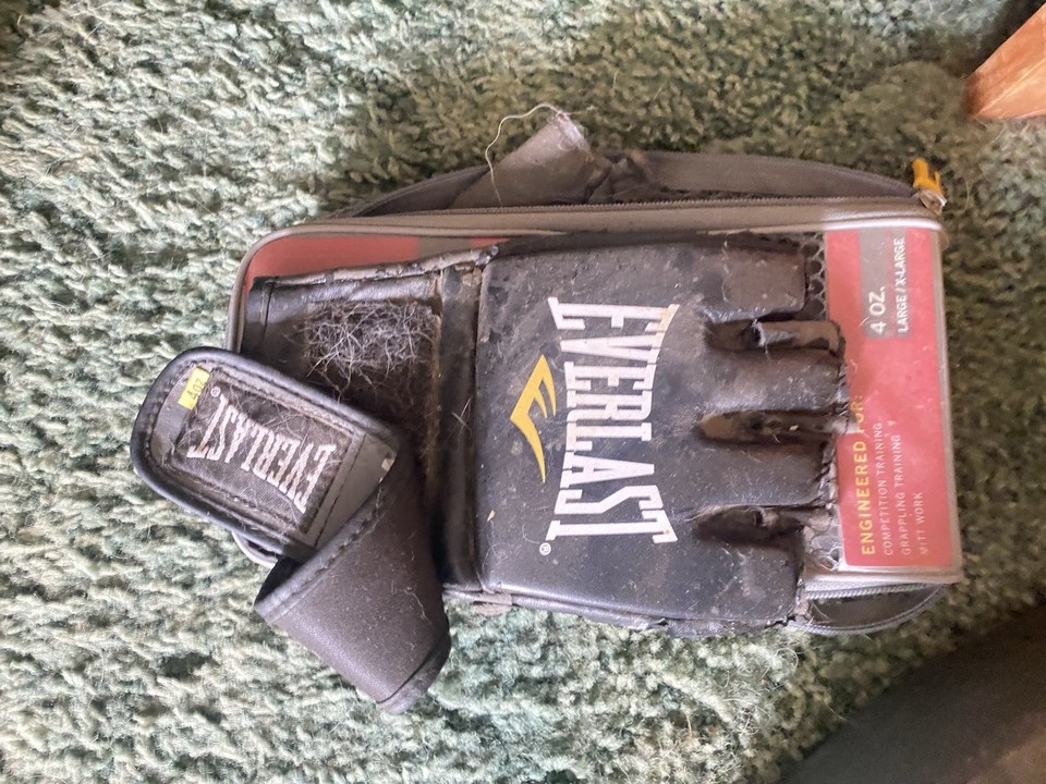 Wave Master Standup Punching Bag And Everlast Boxing Gloves | eBay