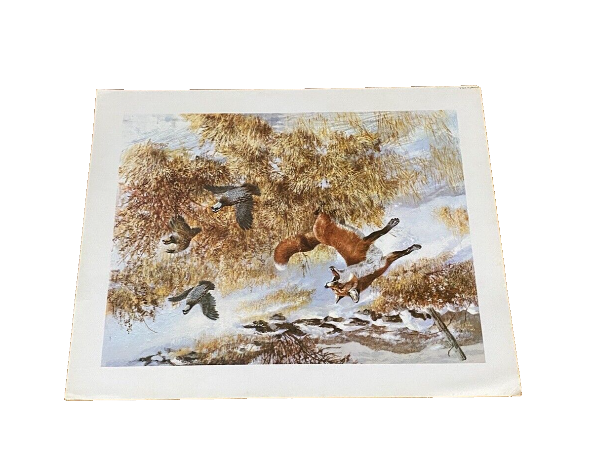Fox Chasing Three Birds Scene Original Art Print Poster 14"X 11" | eBay